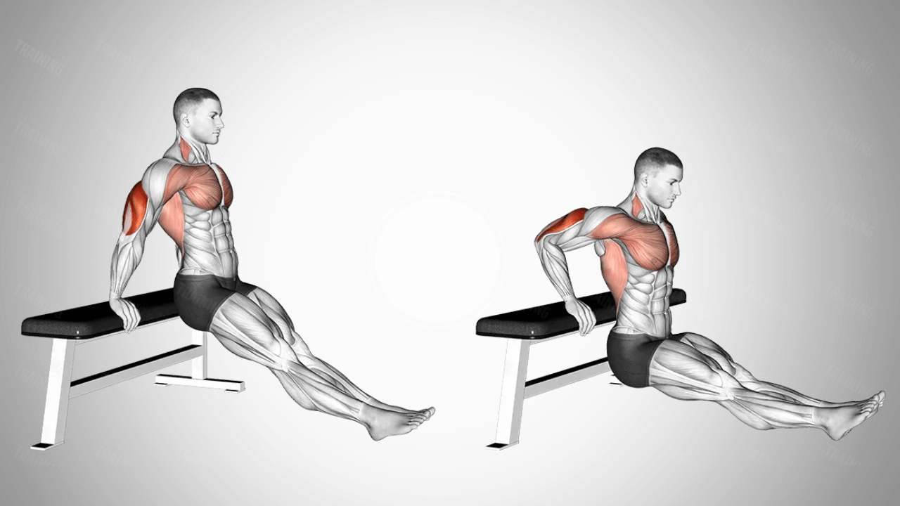 Tricep and Shoulder Isolation Workout for Mass