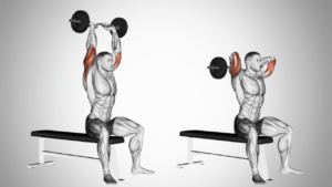 Tricep and Shoulder Isolation Workout for Mass