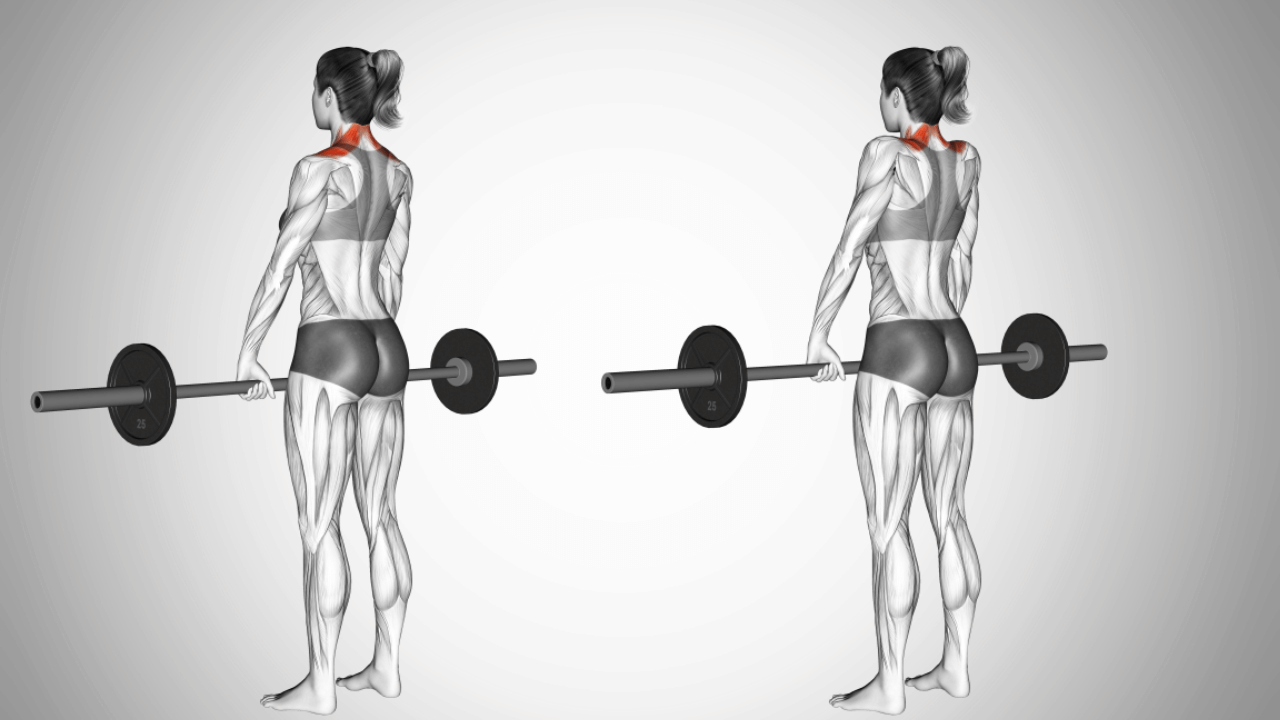 Tricep and Shoulder Isolation Workout for Mass