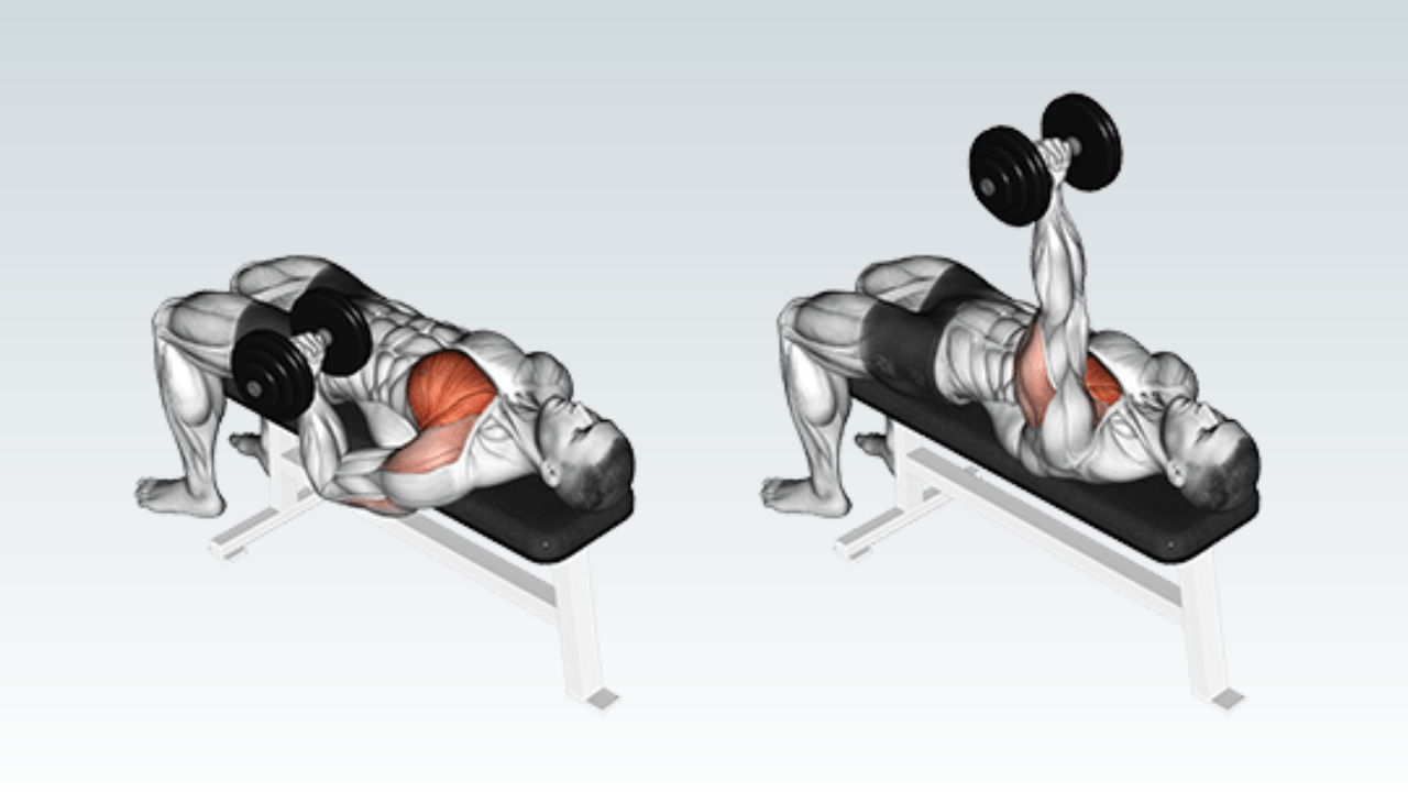 The top 12 Chest workout using just Dumbbells! - Men's Dream Lifestyle