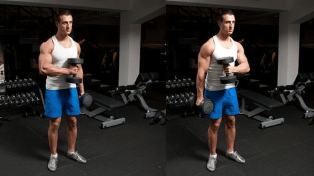 30 Best Bicep Workouts For Men and How to Do It - Men's Dream Lifestyle