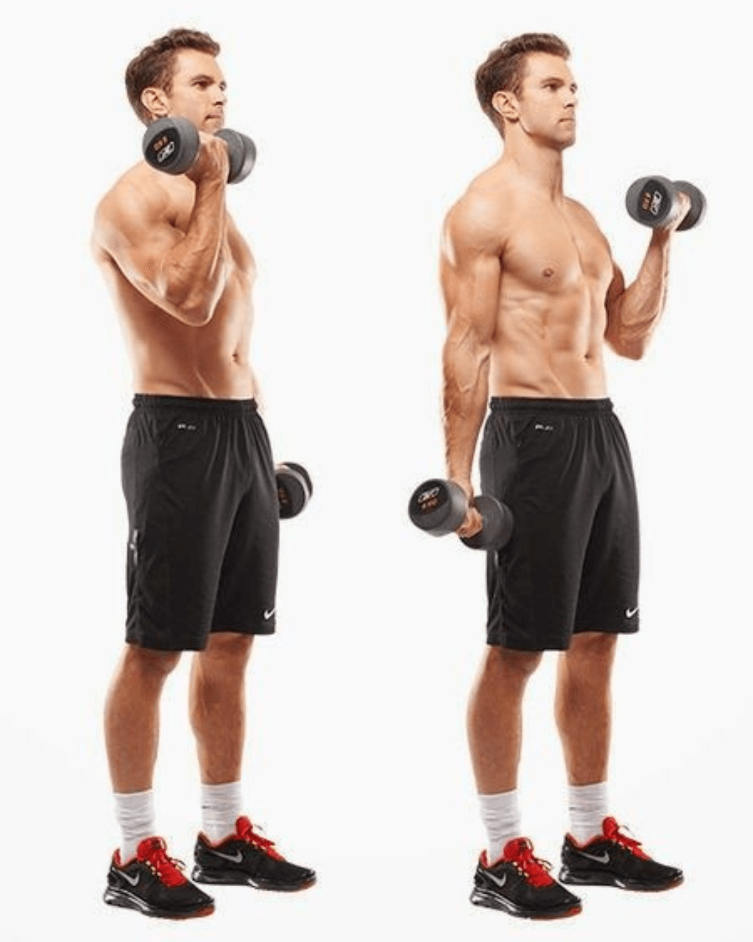 30 Best Bicep Workouts For Men and How to Do It - Men's Dream Lifestyle
