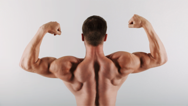 30 Best Shoulder Exercises For Men and How to Do It - Men's Dream Lifestyle