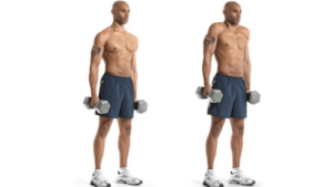 30 Best Shoulder Exercises For Men and How to Do It - Men's Dream Lifestyle