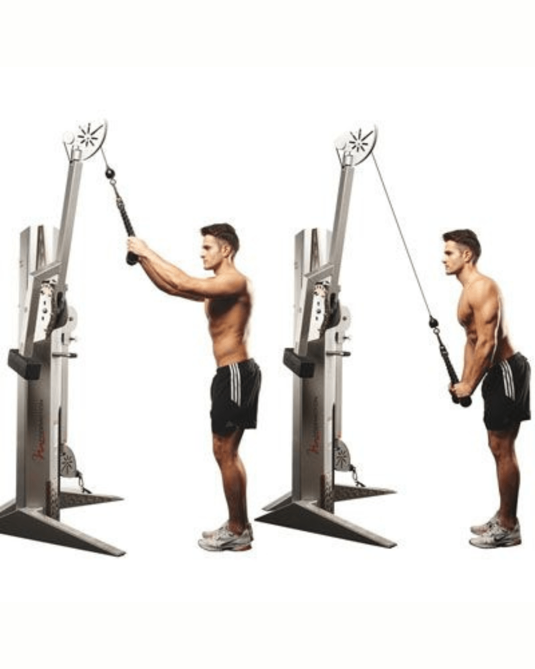30 Best Tricep Workouts For Men and How to Do It - Men's Dream Lifestyle