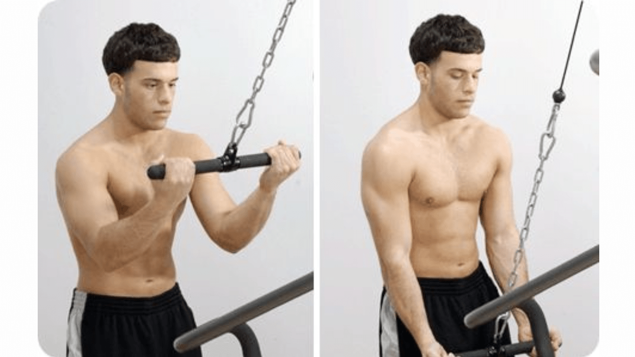 30 Best Tricep Workouts For Men and How to Do It - Men's Dream Lifestyle
