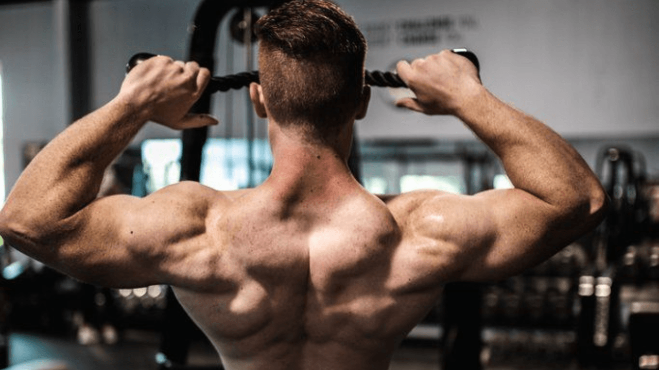 How to Cable Face Pull for Bigger Rear Delts & Killer Shoulders - Men's ...